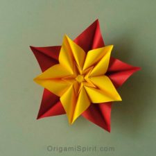 How to Make an Origami Star Flower and Variations – Leyla Torres ...