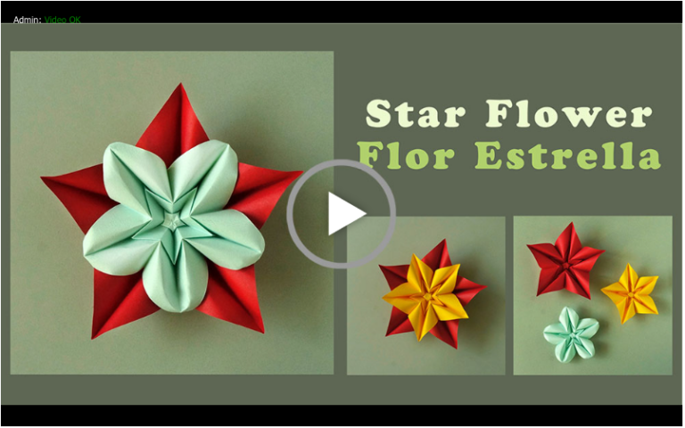 Origami Video Tutorial – Origami Star Flower and Variations – Leyla ...
